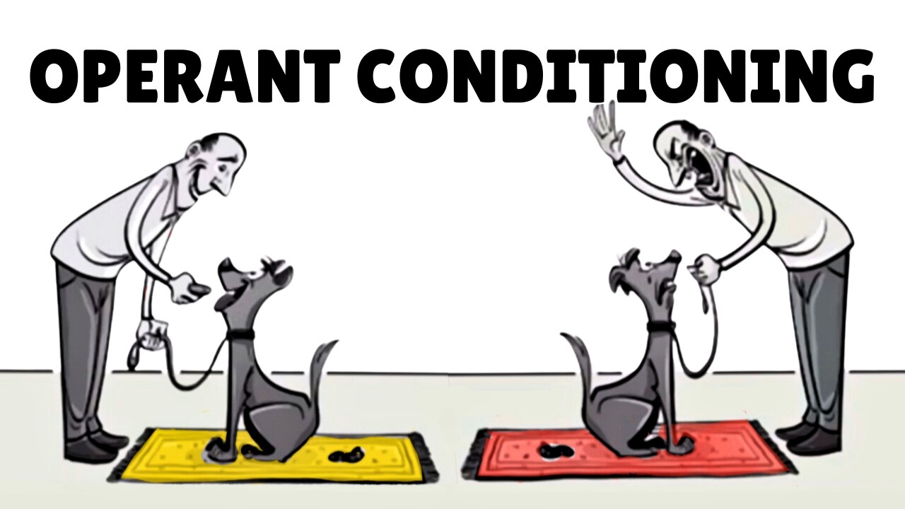 7 Examples of Operant Conditioning in Real Life - ParikshaPatr 7 Examples of Operant Conditioning in Real Life - ParikshaPatr
